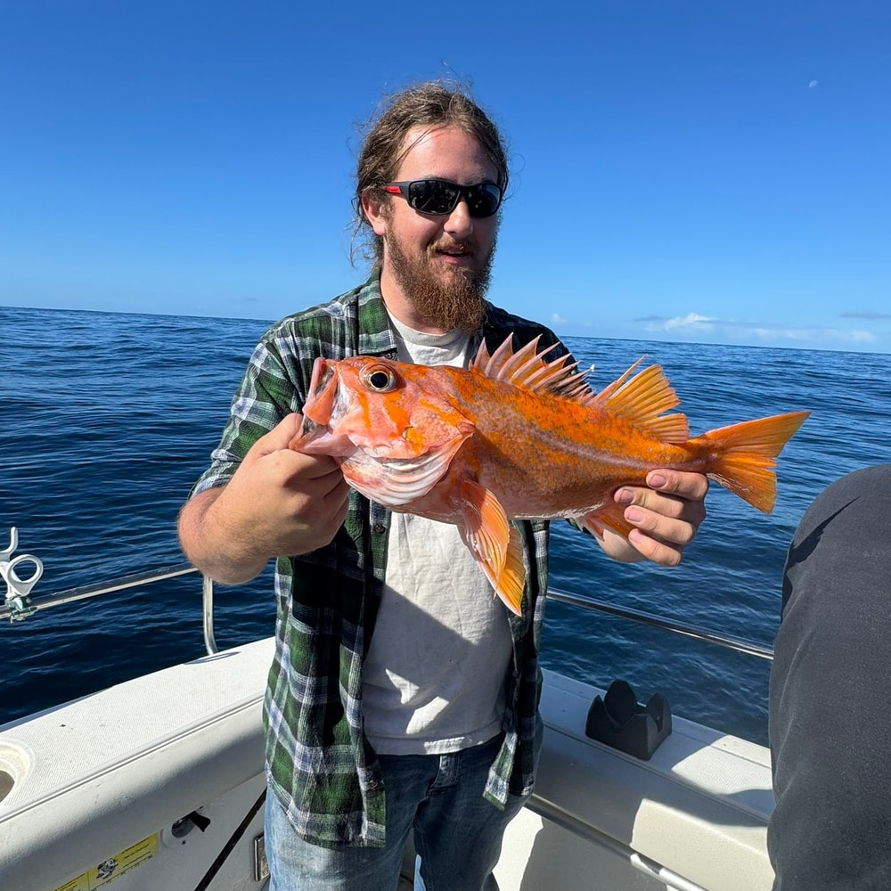 San Francisco Bay Fishing Trips In San Francisco