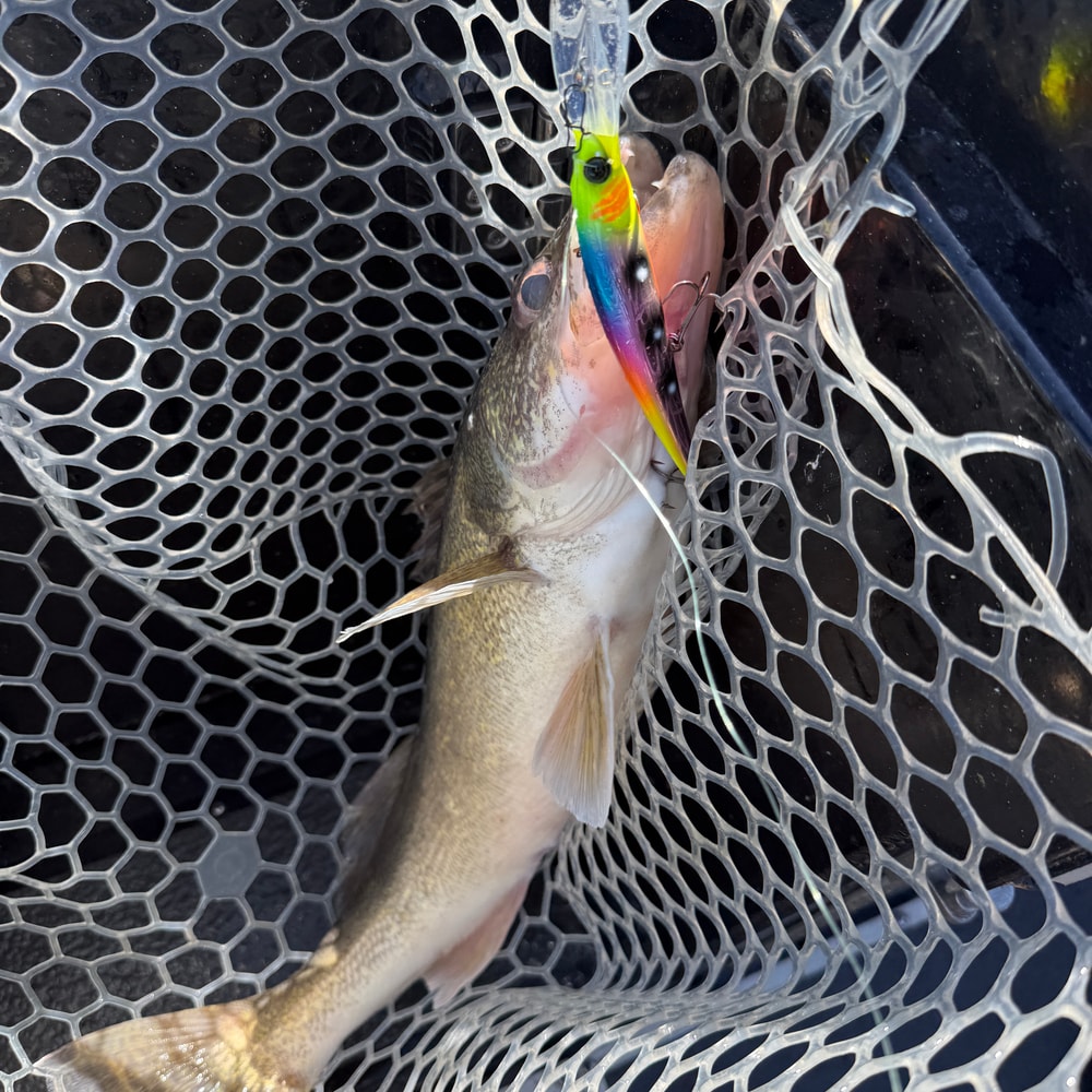 Lets Go Fishing In Huron