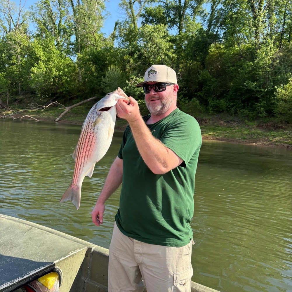 Roanoke River Rockfish In Weldon