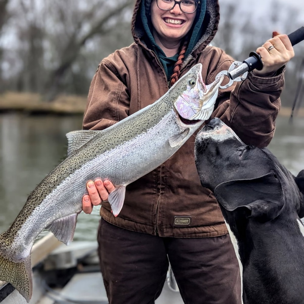 Fall Steelhead Fishing Big Manistee In Wellston