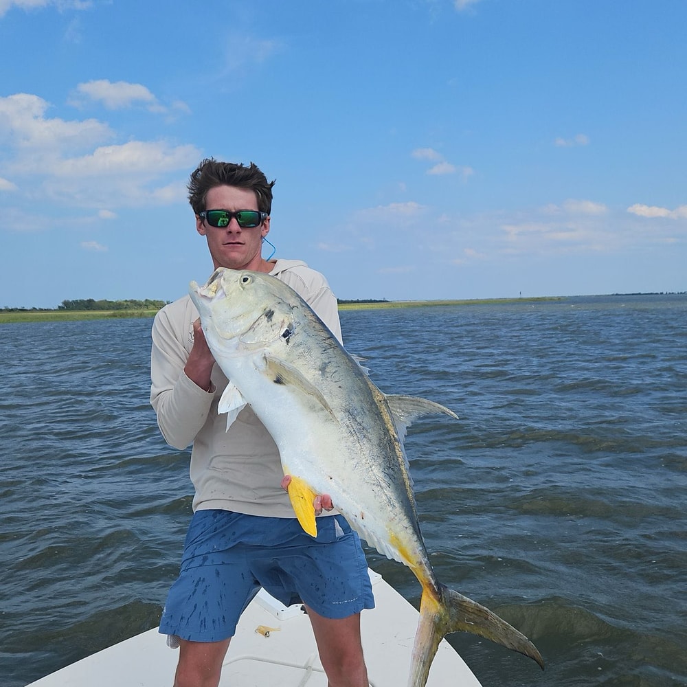 Live Bait Fishing Savannah Ga In Savannah