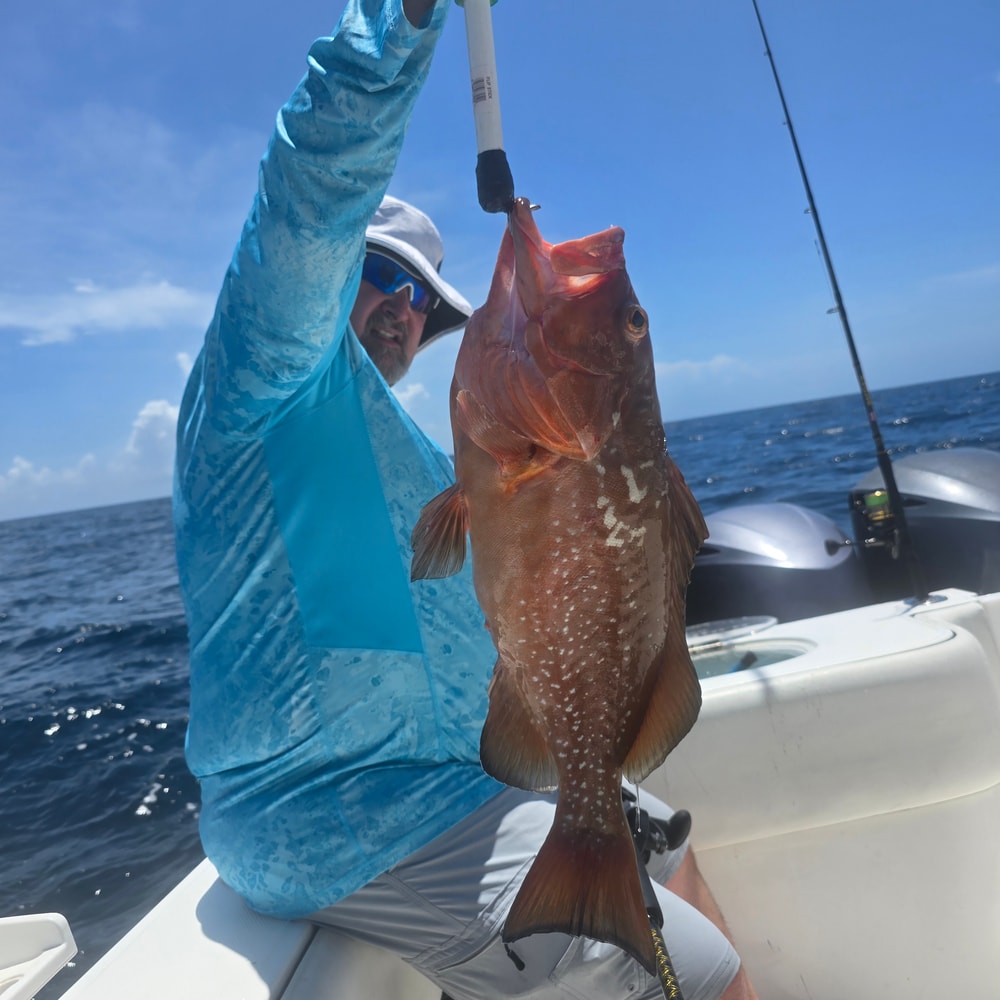 12 Hr Offshore Deep FADS In Panama City