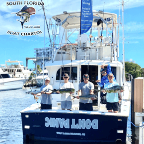 Trips Search: Captain Experiences