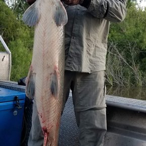 The 15 Best Alligator Gar Fishing Guides In Texas (Fall 2023)