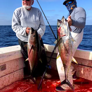 The 15 Best Bluefin Tuna Fishing Charters In California (Fall 2023)