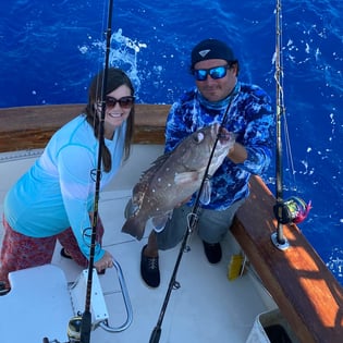 How To Catch Queen Snapper & Queen Snapper Fishing Charters