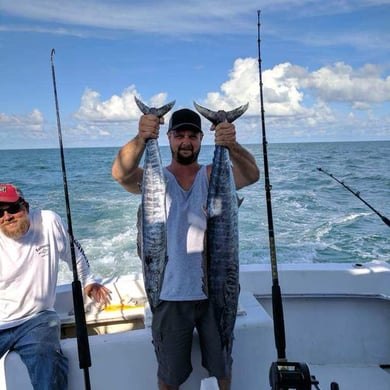 How to Catch Sailfish & Sailfish Fishing Charters