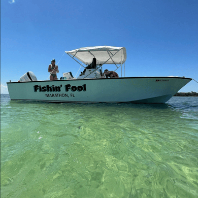 The 15 Best Fishing Charters in Marathon, FL