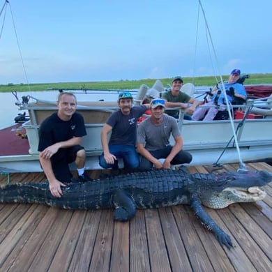 The 15 Best Alligator Hunting Guides