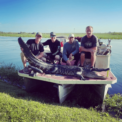 The 15 Best Alligator Hunting Guides