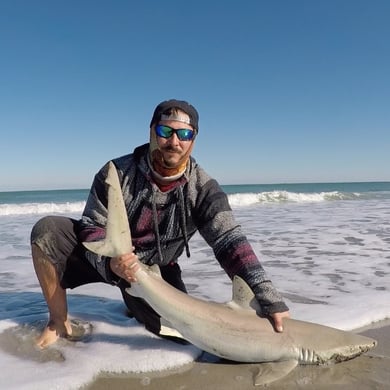 Bull Shark Fishing Charters in Sebastian Inlet