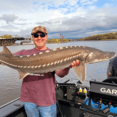 How to Catch Sturgeon & Sturgeon Fishing Guides