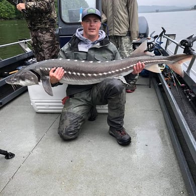 Pink Salmon Fishing Guides in the Chehalis River