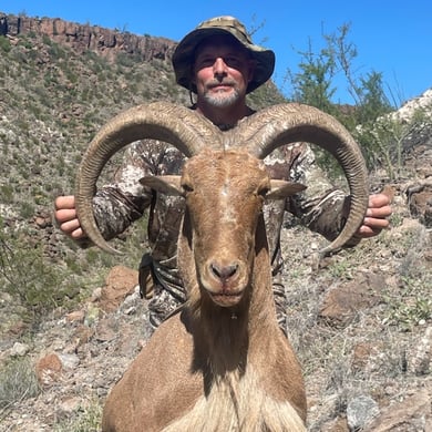 Aoudad Hunting Guides