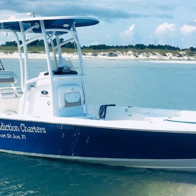 The 14 Best Scalloping Charters