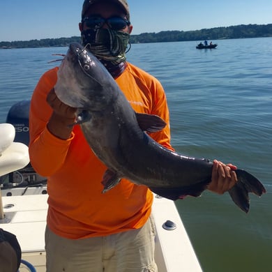 How to Catch Blue Catfish & Blue Catfish Fishing Guides