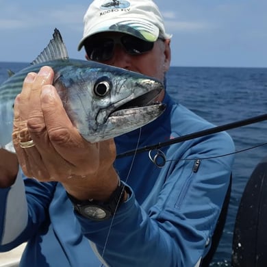 How to Catch Cero Mackerel & Cero Mackerel Fishing Charters