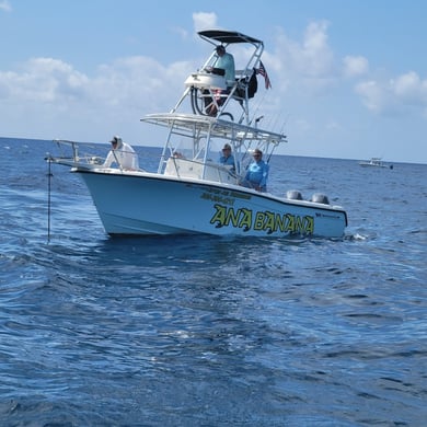 The 15 Best Fishing Charters in Marathon, FL