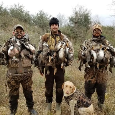 The 15 Best Duck Hunting Guides