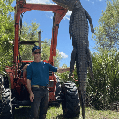 How to Catch Alligator & Alligator Hunting Guides