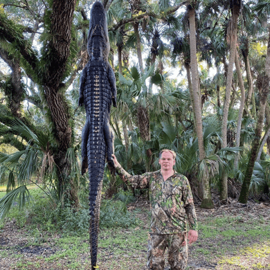 The 15 Best Alligator Hunting Guides