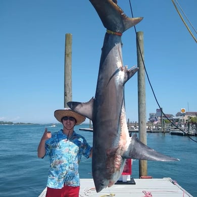 How to Catch Blue Shark & Blue Shark Fishing Charters