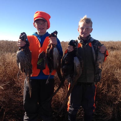 How to Catch Pheasant & Pheasant Hunting Guides