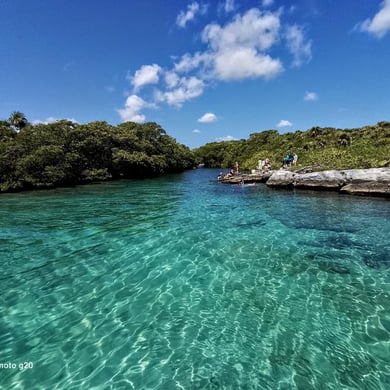 The 7 Best Fishing Charters in Tulum, Mexico