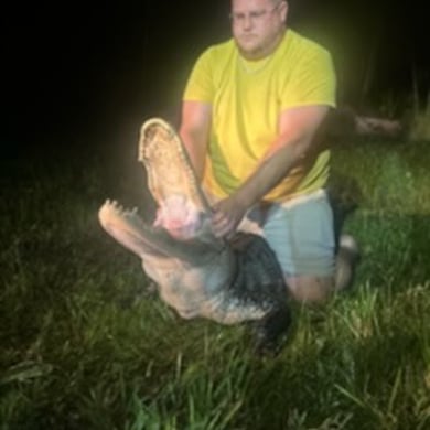 How to Catch Alligator & Alligator Hunting Guides