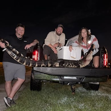 How to Catch Alligator & Alligator Hunting Guides