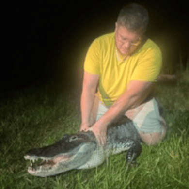 How to Catch Alligator & Alligator Hunting Guides