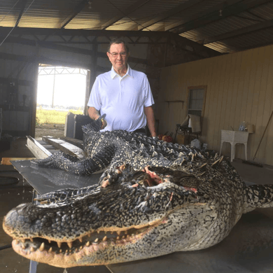 The 15 Best Alligator Hunting Guides