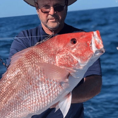 How to Catch Scamp Grouper & Scamp Grouper Fishing Charters
