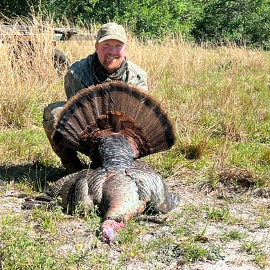 How to Catch Turkey & Turkey Hunting Guides