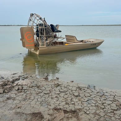 How to Catch Blue-Winged Teal & Blue-Winged Teal Hunting Guides