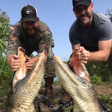 The 15 Best Alligator Hunting Guides