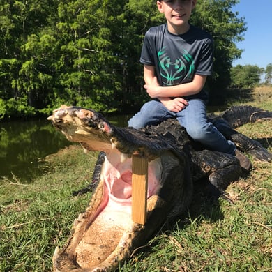 The 15 Best Alligator Hunting Guides