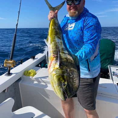 How to Catch Needlefish & Needlefish Fishing Charters