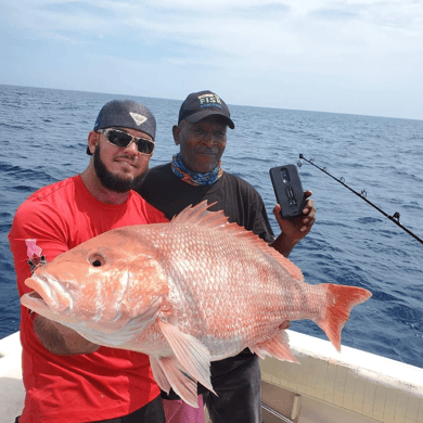 The 15 Best Fishing Charters in Clearwater, FL