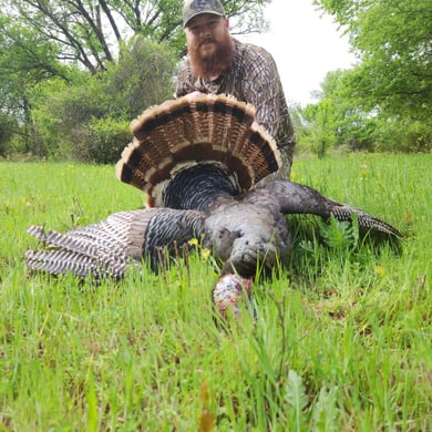 How to Catch Turkey & Turkey Hunting Guides