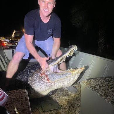 The 15 Best Alligator Hunting Guides