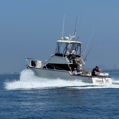 The 15 Best Deep Sea Fishing Charters in California