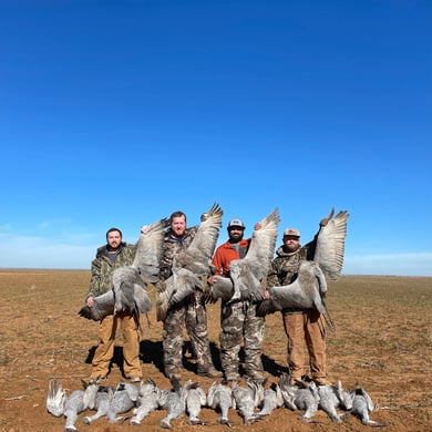 The 11 Best Sandhill Crane Hunting Guides in Texas