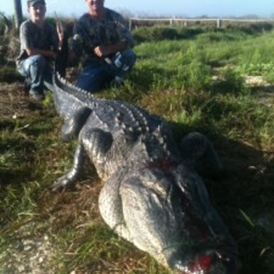 The 15 Best Alligator Hunting Guides