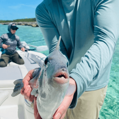 The 15 Best The Bahamas Fishing Charters