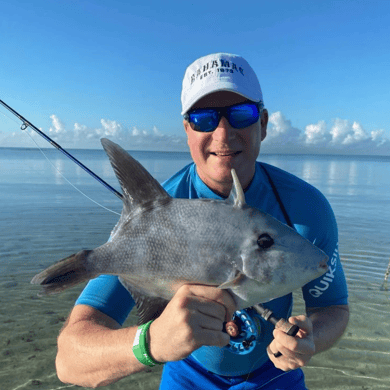 The 15 Best The Bahamas Fishing Charters