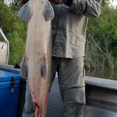 River Fishing Guides in Choke Canyon Reservoir