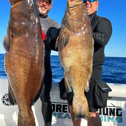 How To Catch Queen Snapper & Queen Snapper Fishing Charters