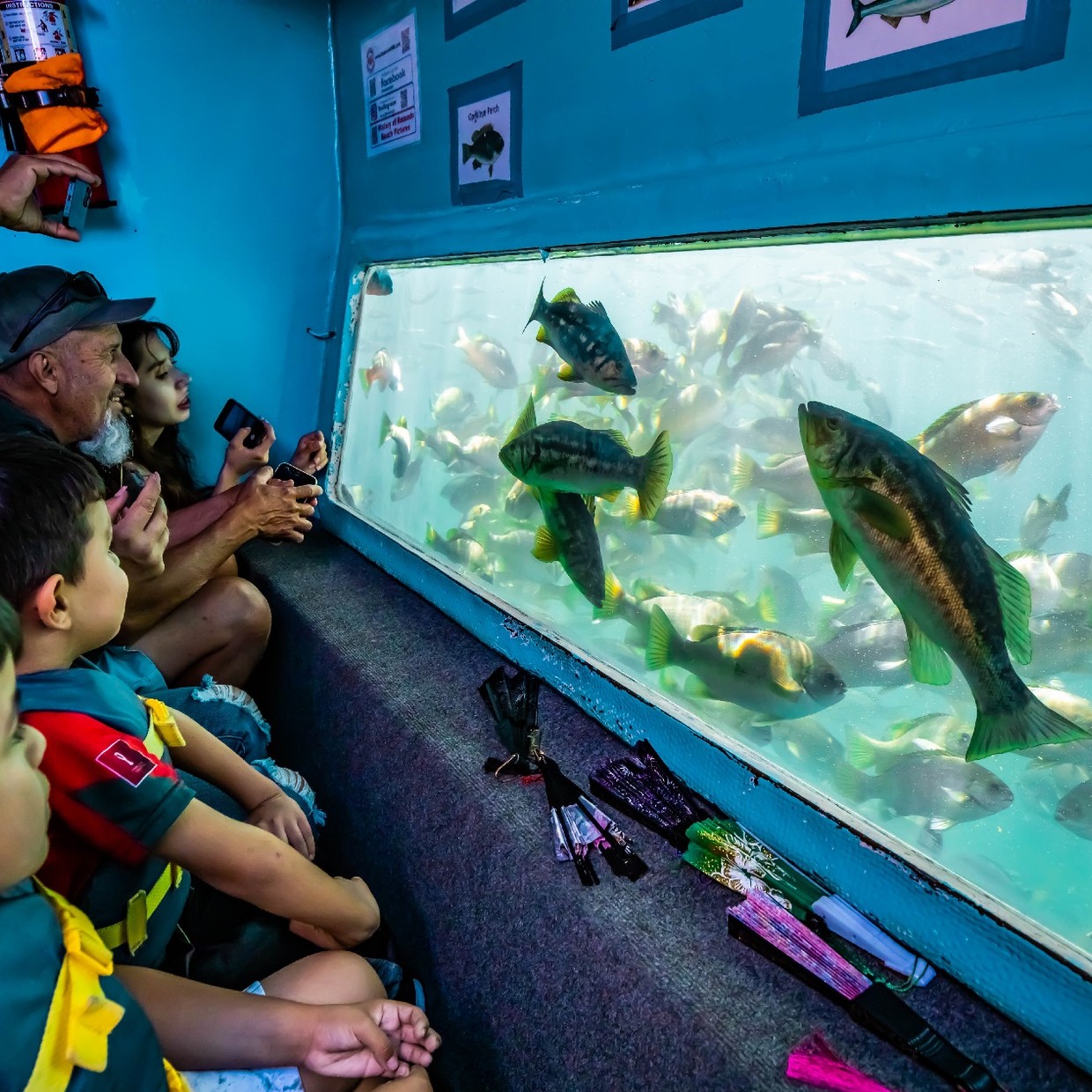Glass Bottom Boat Tour In Redondo Beach