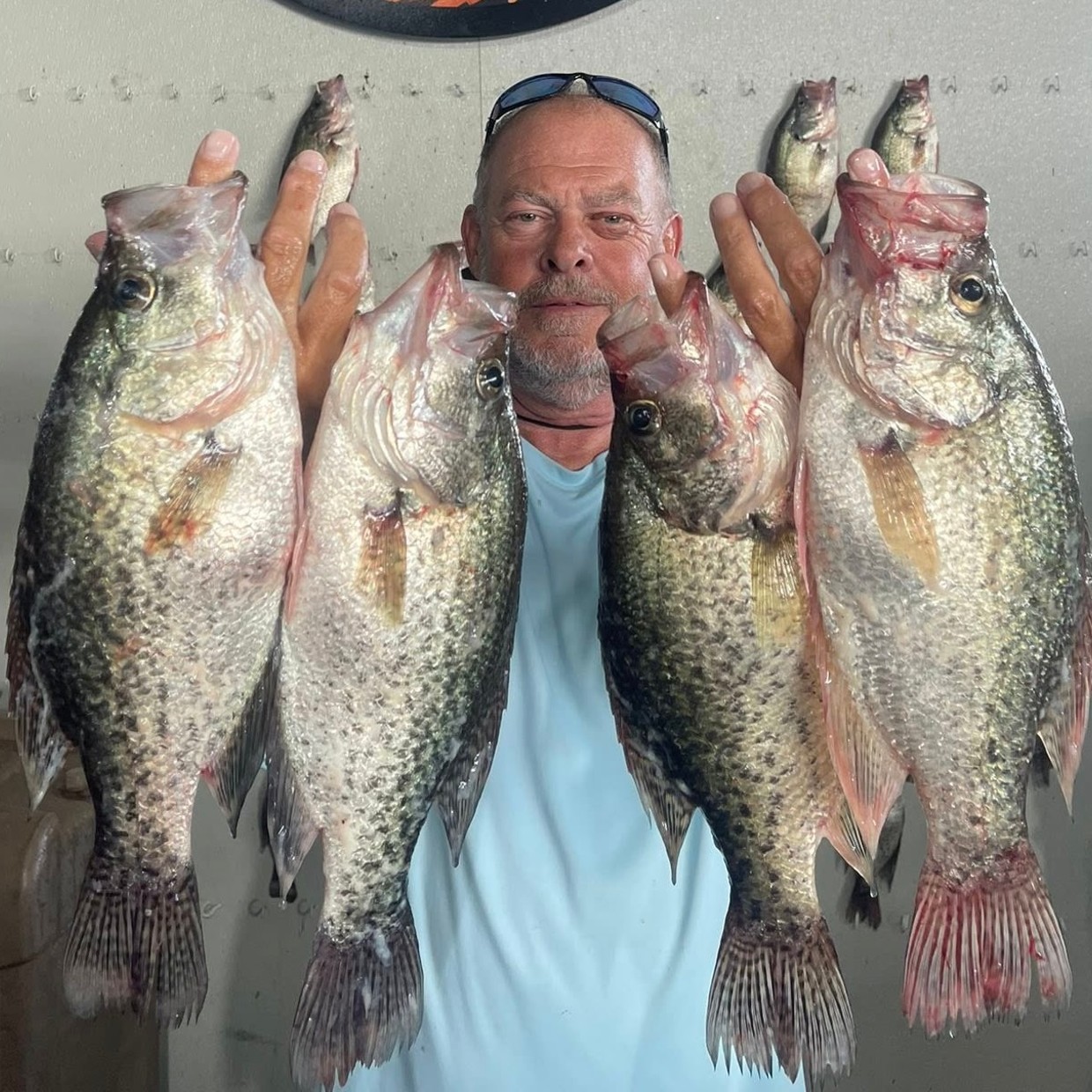 Lake Ray Hubbard Crappie Fishing In Rowlett